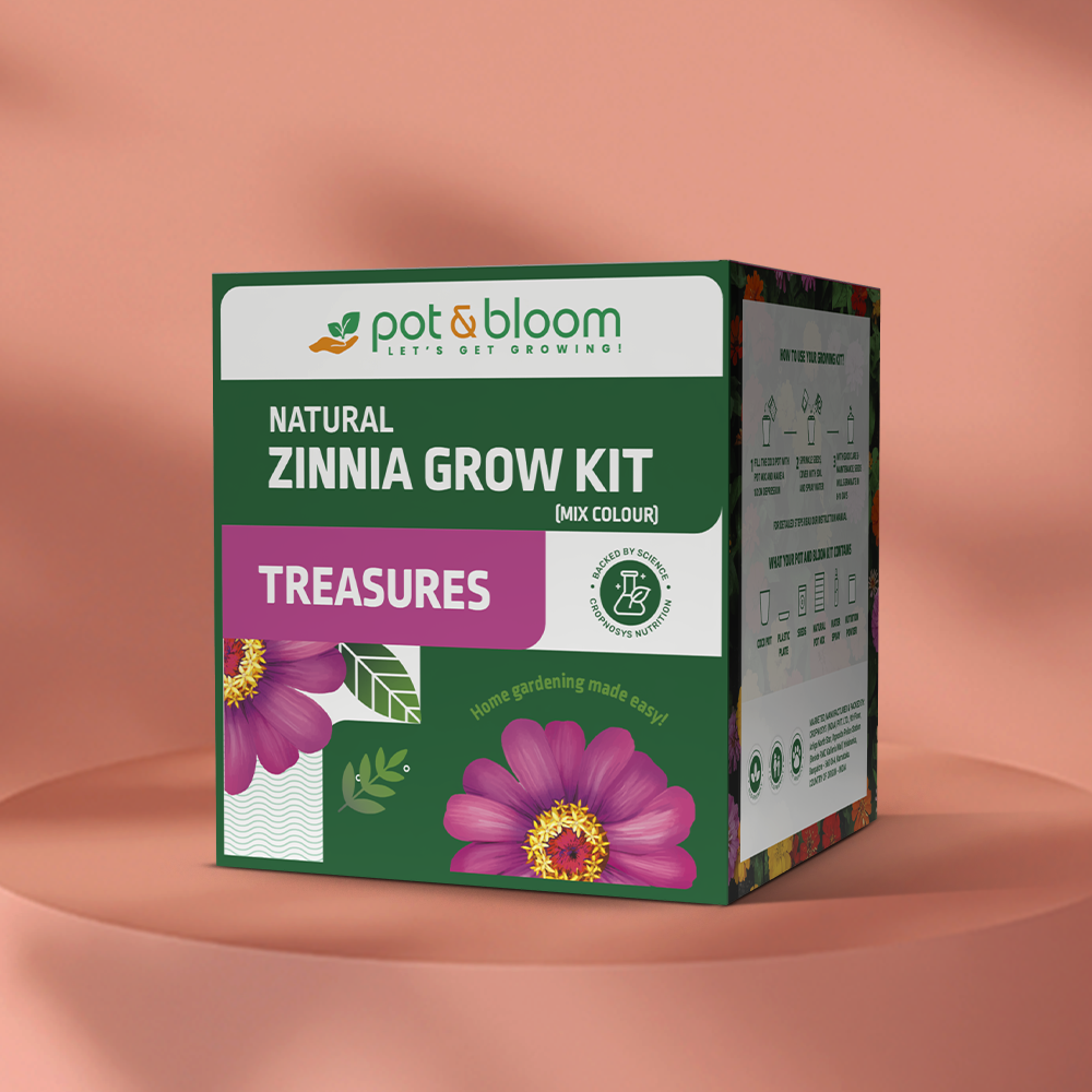 Buy Treasures Zinnia Grow Kit Online at Best Price | Pot and Bloom