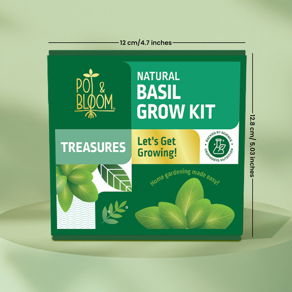 Buy Treasures Basil Kit Online at Best Price | Pot and Bloom