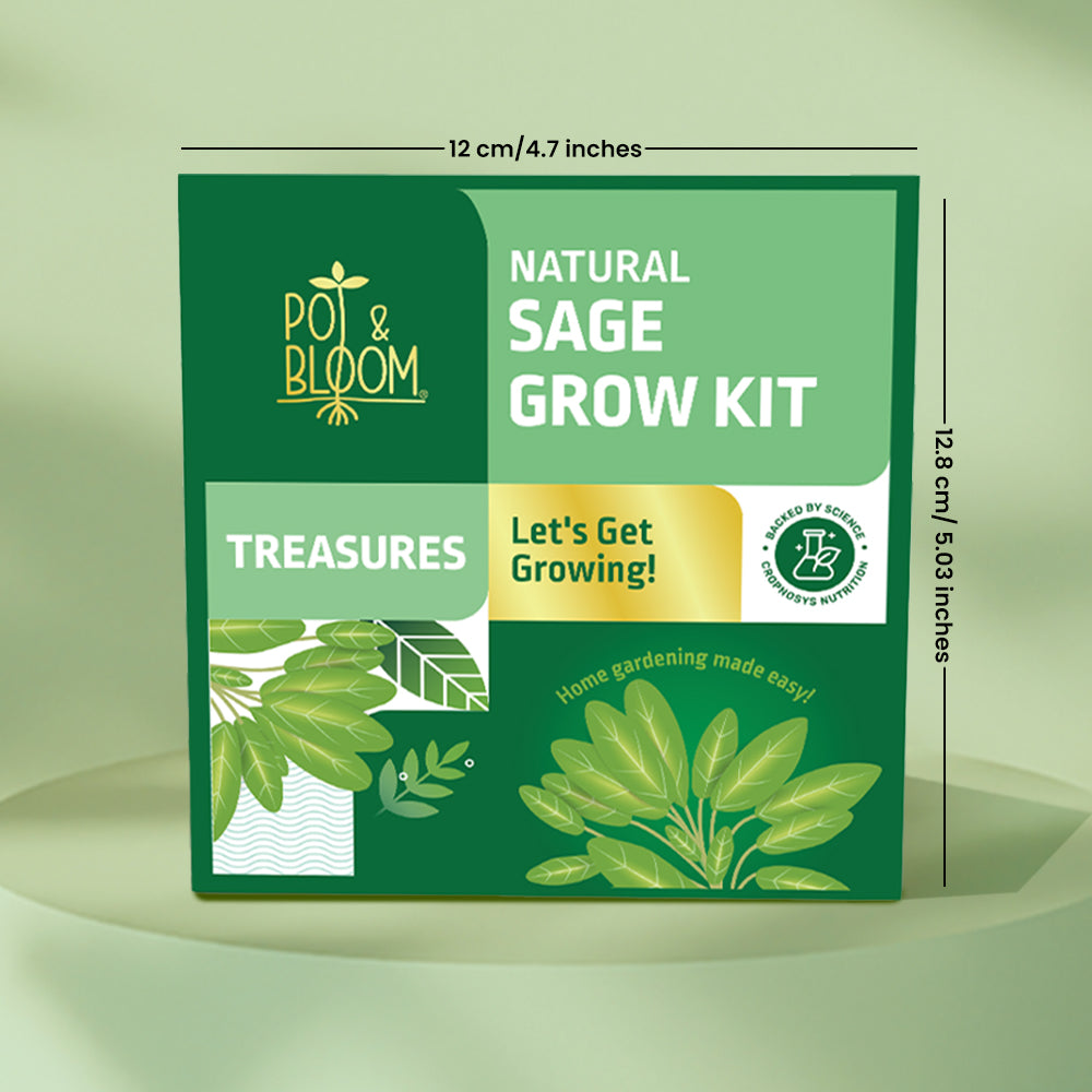 Buy Treasures Sage Grow Kit Online at Best Price | Pot and Bloom