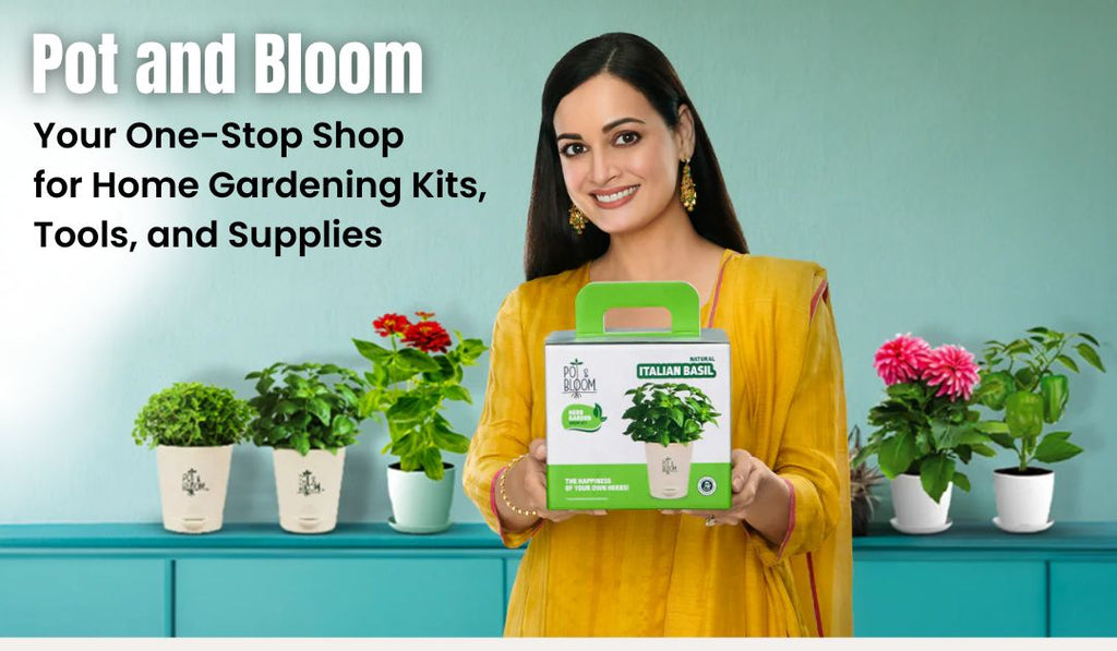 Pot and Bloom: Your One-Stop Shop for Home Gardening Kits, Tools, and