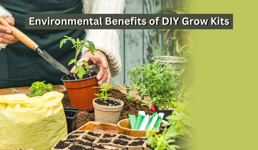 Environmental Benefits of DIY Grow Kits – Pot and Bloom