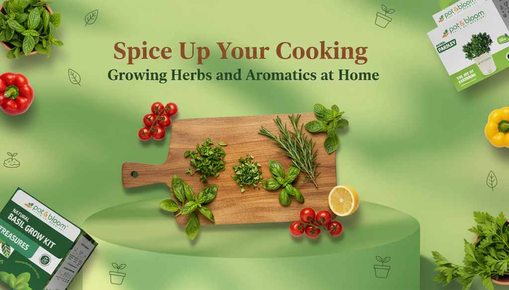 Spice Up Your Cooking: Grow Herbs and Aromatics at Home – Pot and Bloom