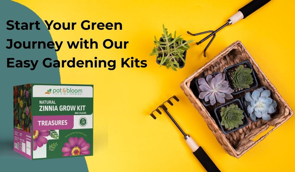 Start Your Green Journey with Our Easy Gardening Kits – Pot and Bloom