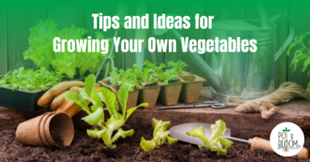 Vegetable Gardening - Tips and Ideas for Growing Your Own Vegetables ...