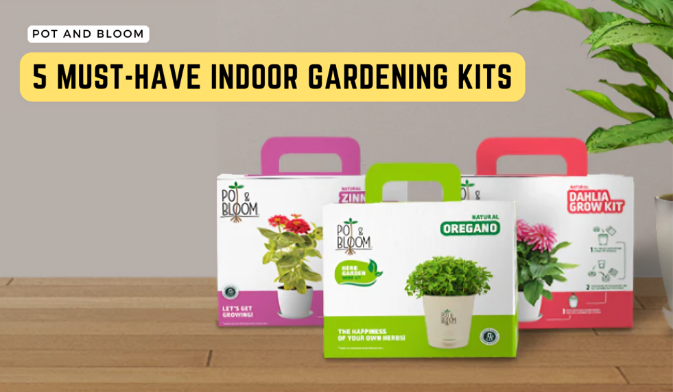 5 Must-Have Indoor Gardening Kits – Pot and Bloom