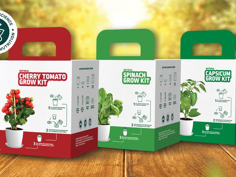 Gardening Blogs - Top Plant Gardening Basics Blogs Online at Pot and Bloom