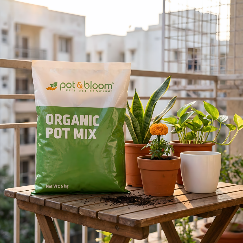 Buy Pot Mix 5kg Online in India at Best Price | Pot and Bloom