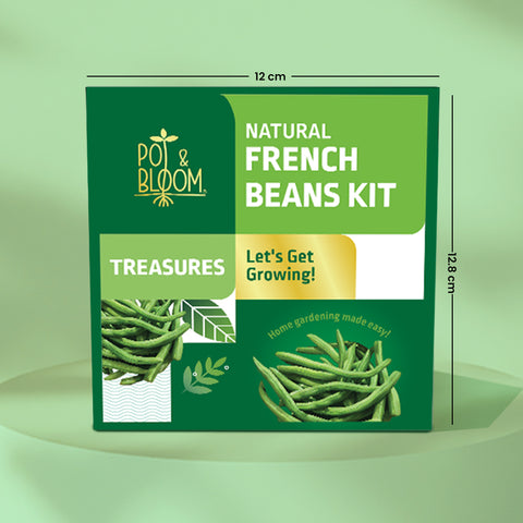 Buy Home Gardening Products Online at Best Price - Pot and Bloom