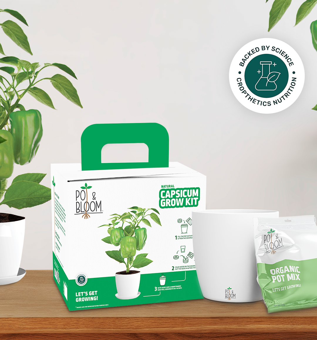 Get to Know Everything About Pot and Bloom and It's Expertise