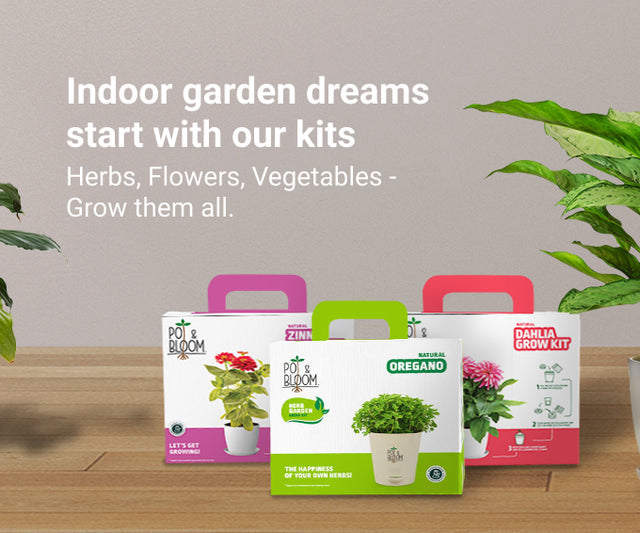 Flower Kits - Buy Flower Growing Kits Online at Pot and Bloom