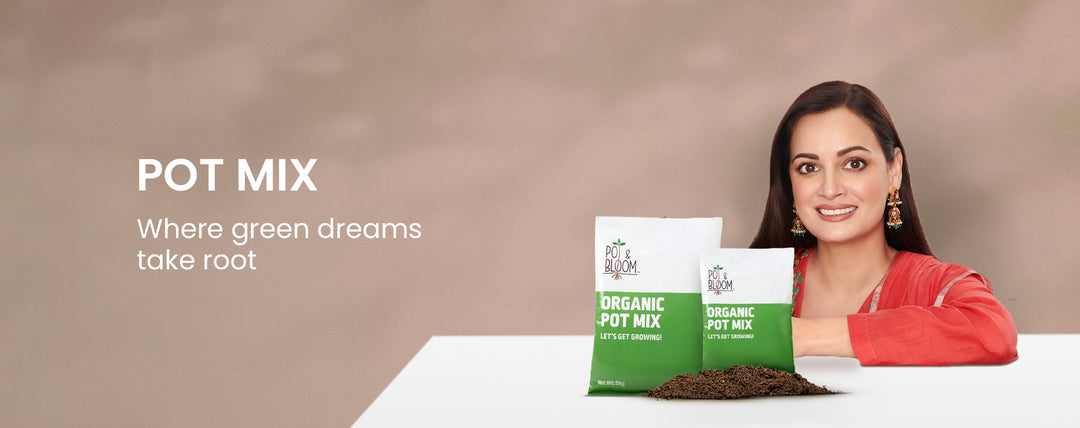 Potting Soil - Buy Pot Mix for Plant Nutrition Online at Pot and Bloom