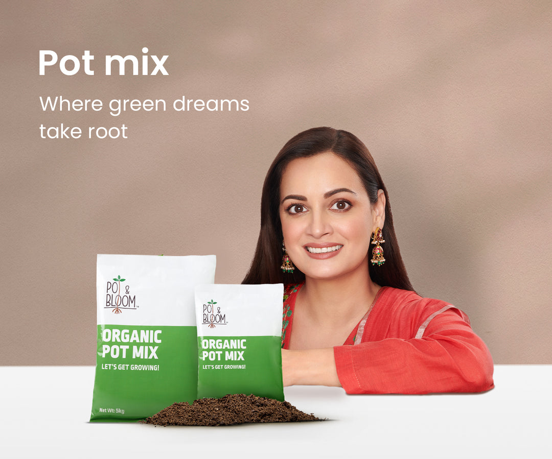 Potting Soil - Buy Pot Mix for Plant Nutrition Online at Pot and Bloom