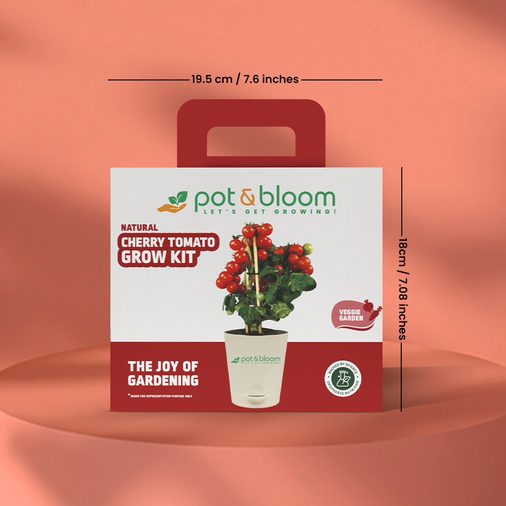 Buy Cherry Tomato Grow Kit Medium Online at Best Price | Pot and Bloom