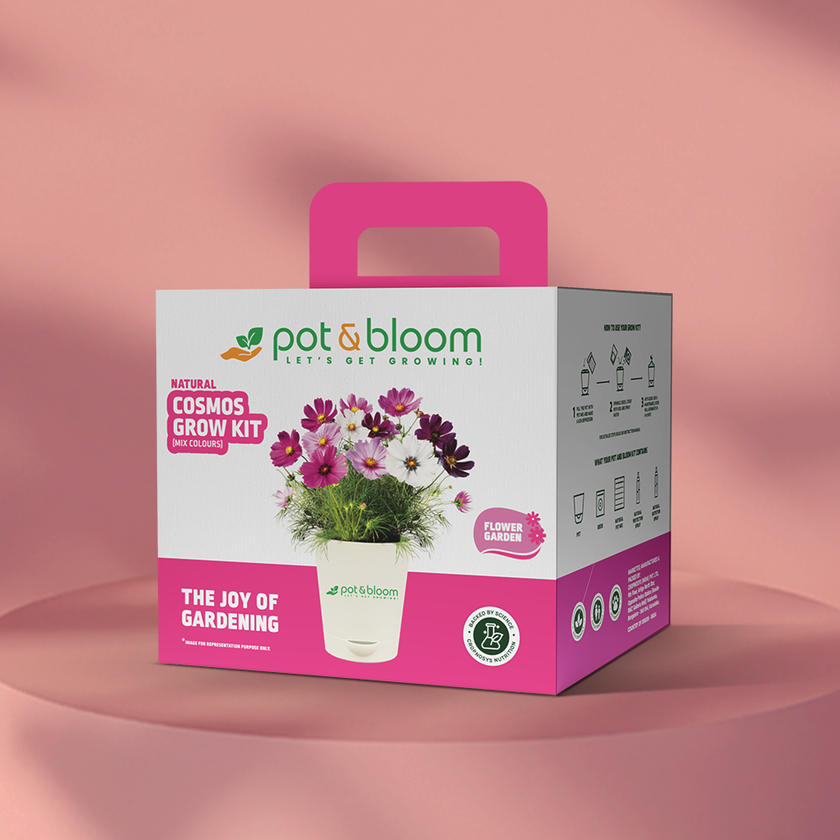 Flower Kits - Buy Flower Growing Kits Online at Pot and Bloom