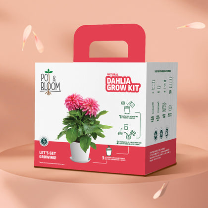 Flower Kits - Buy Flower Growing Kits Online at Pot and Bloom