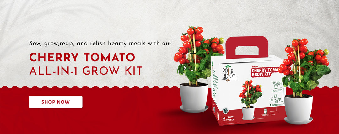 Gardening Kit - Buy Seed and Plant Care Products Online at Pot & Bloom ...