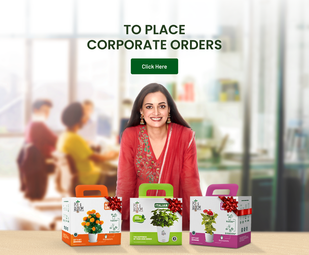 Gardening Kits, Seeds and Plant Care Products Online at Pot and Bloom