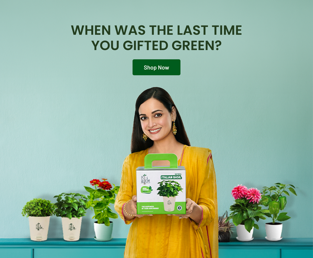 Gardening Kits, Seeds and Plant Care Products Online at Pot and Bloom