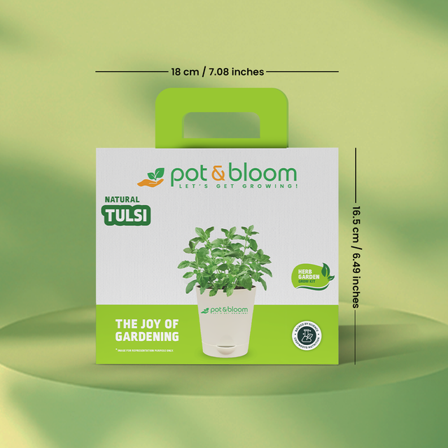 Tulsi Grow Kit – Pot and Bloom