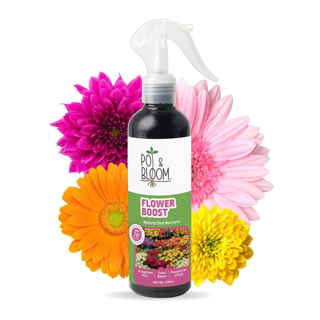 Mealy Bug Buster + Flower Boost 500 ml – Pot and Bloom