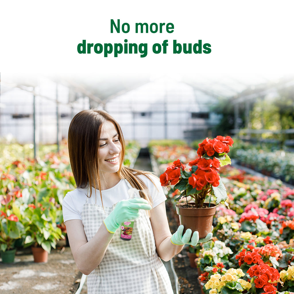 Mealy Bug Buster + Flower Boost 500 ml – Pot and Bloom