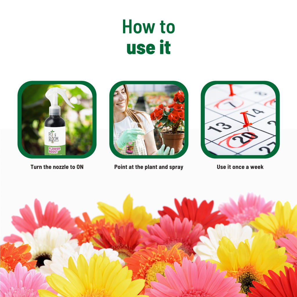 Buy Flower Boost Spray (250ml) For Your Garden Online at Pot and Bloom