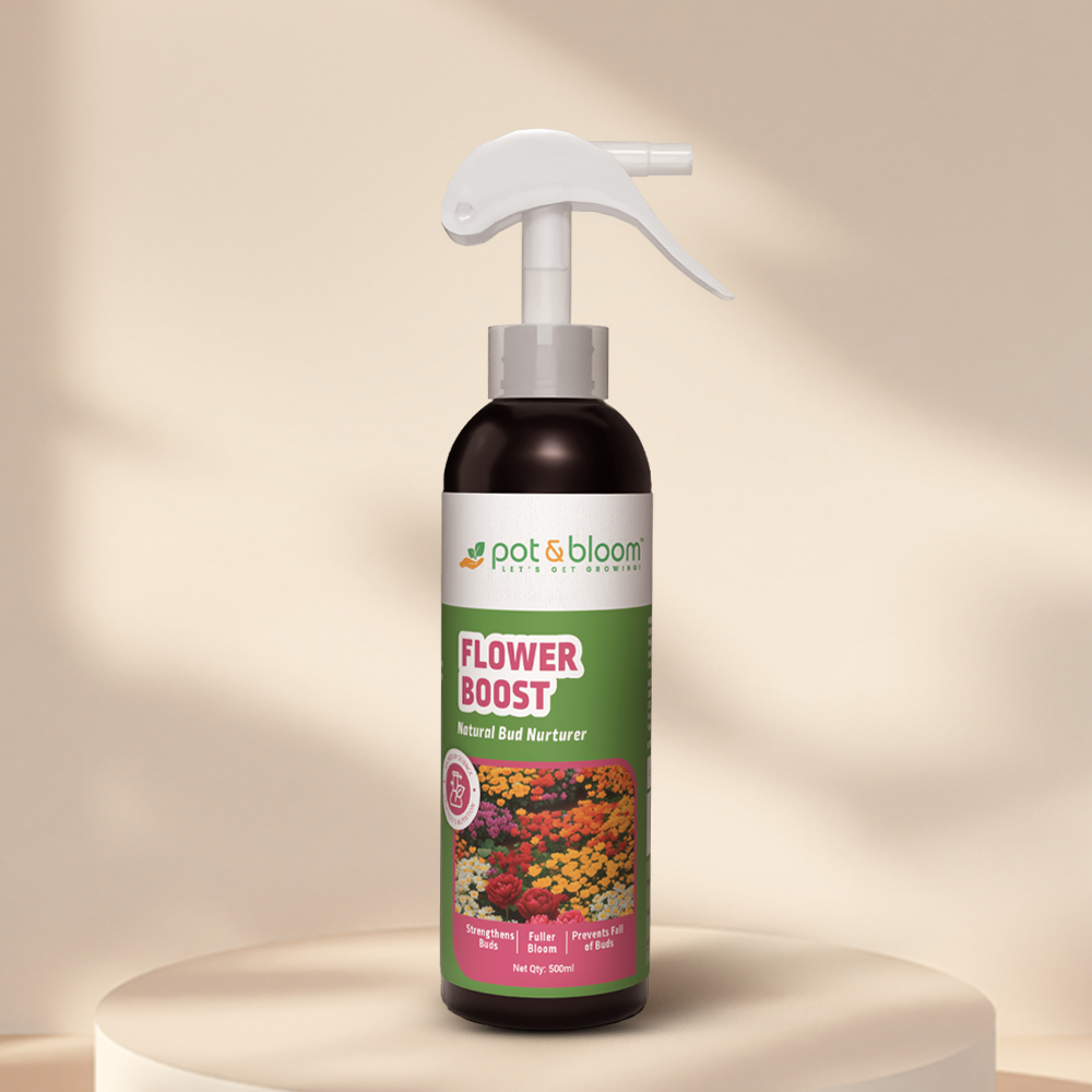 Buy Flower Boost (500ml) Online at Best Price | Pot and Bloom