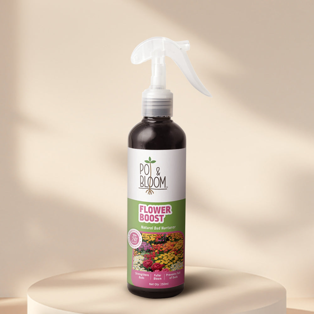 Buy Mealy Bug Buster and Flower Boost Spray Combo (250ml) at Best Price ...
