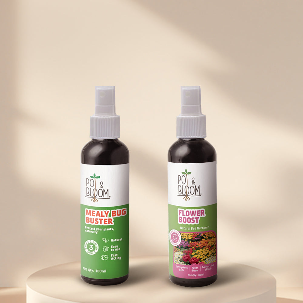 Buy Mealy Bug Buster and Flower Boost Spray Combo (100ml) at Best Price ...