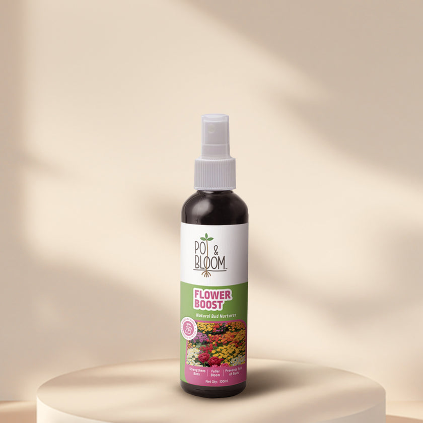 Buy Natural Plant Protection Spray @37% OFF at Pot and Bloom