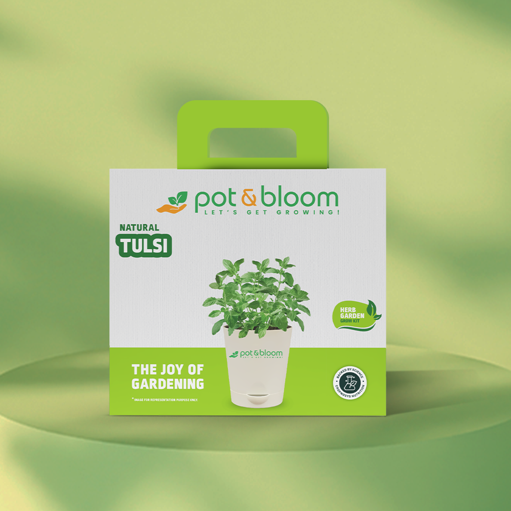 Tulsi Grow Kit – Pot and Bloom