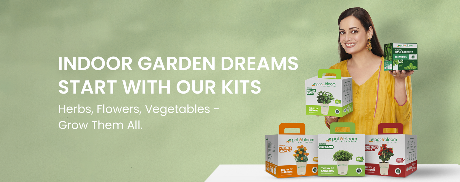 Buy DIY Gardening Kits Online at Best Price - Pot and Bloom