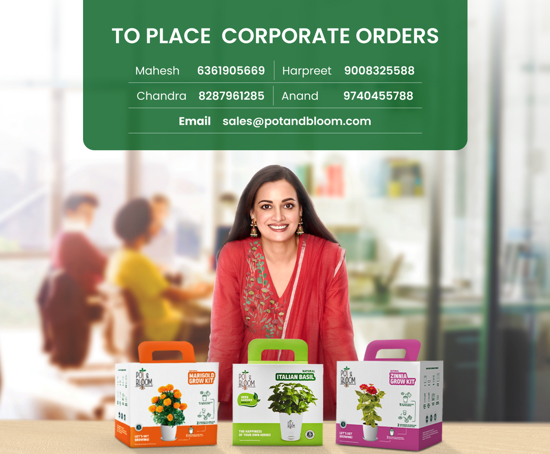 Gardening Kits, Seeds and Plant Care Products Online at Pot and Bloom