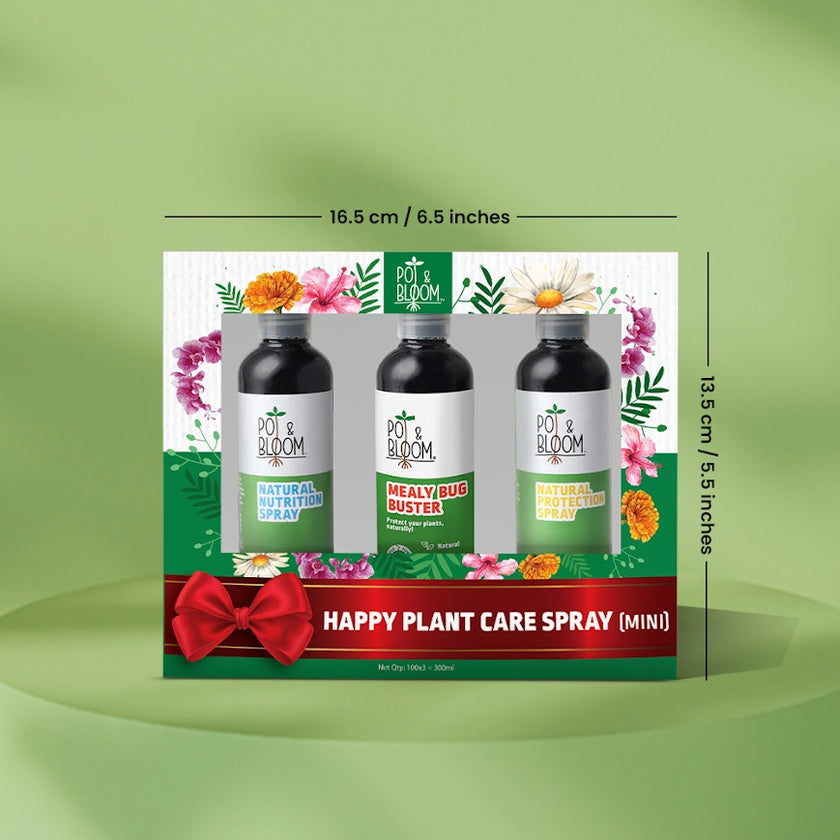 Happy Plant Care Mini Kit – Pot and Bloom