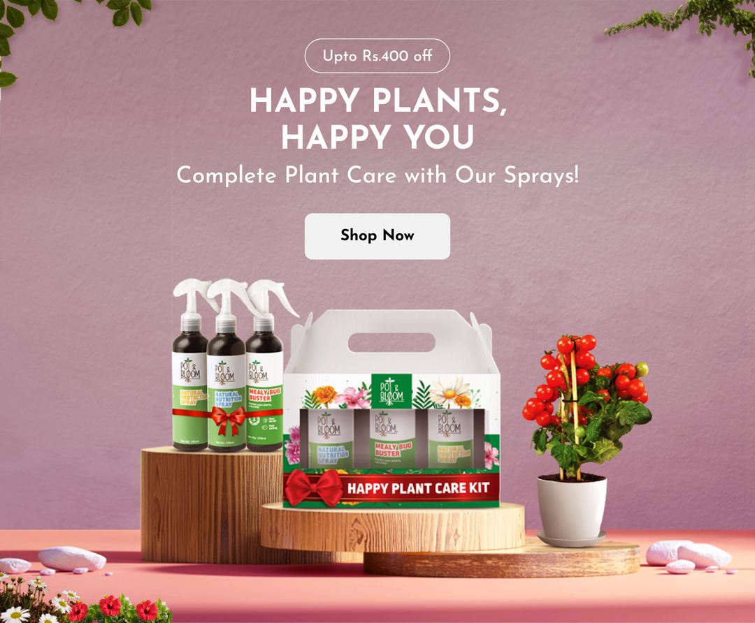 Gardening Kits, Seeds and Plant Care Products Online at Pot and Bloom