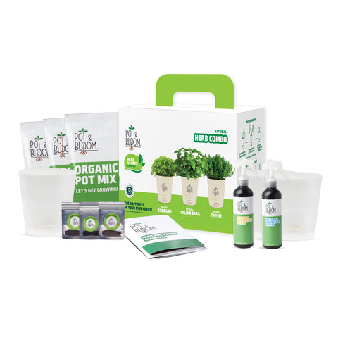 Herb Kits - Buy Herb Garden Kit Online in India at Pot and Bloom