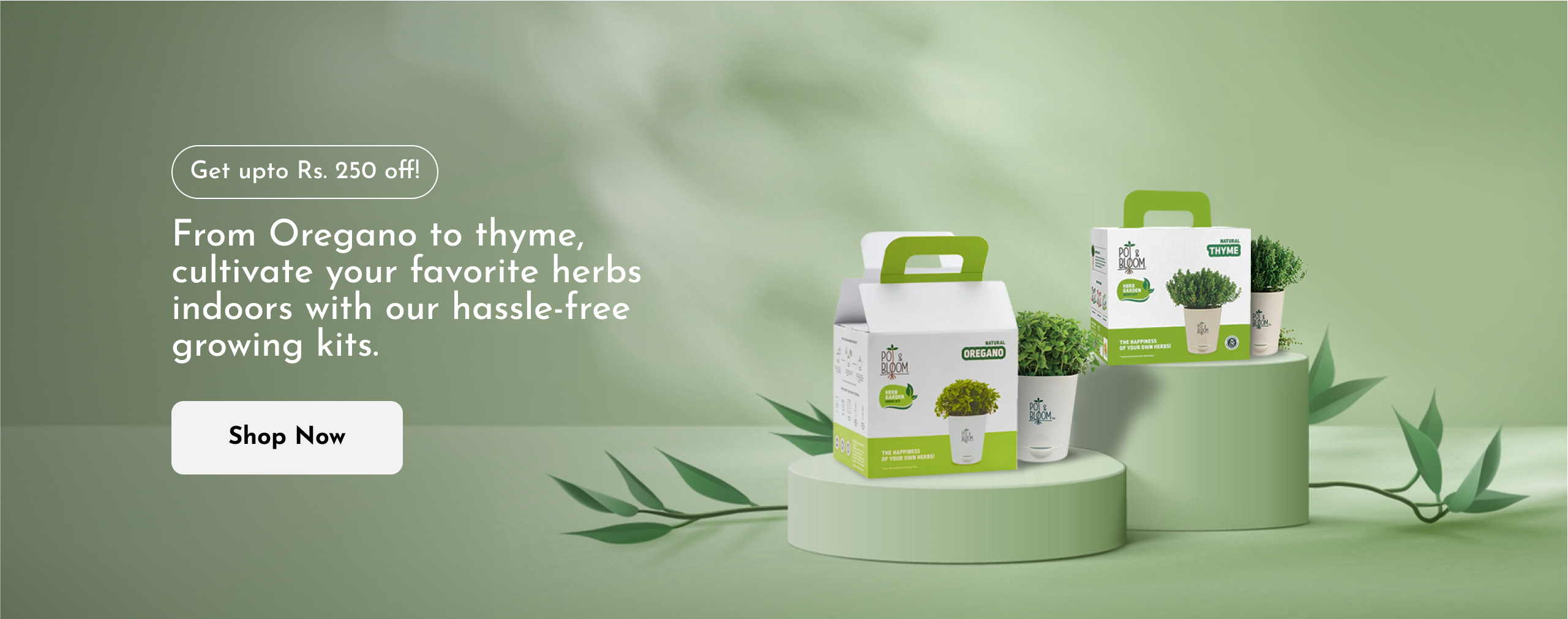 Gardening Kits, Seeds and Plant Care Products Online at Pot and Bloom