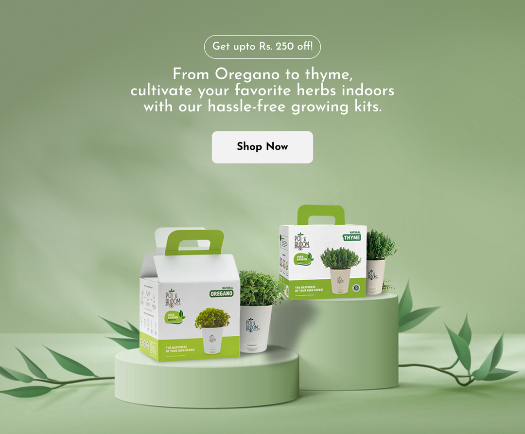 Gardening Kits, Seeds and Plant Care Products Online at Pot and Bloom