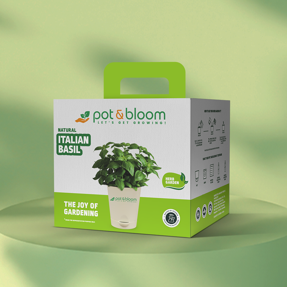 Buy Italian Basil Kit Online at Best Price | Pot and Bloom
