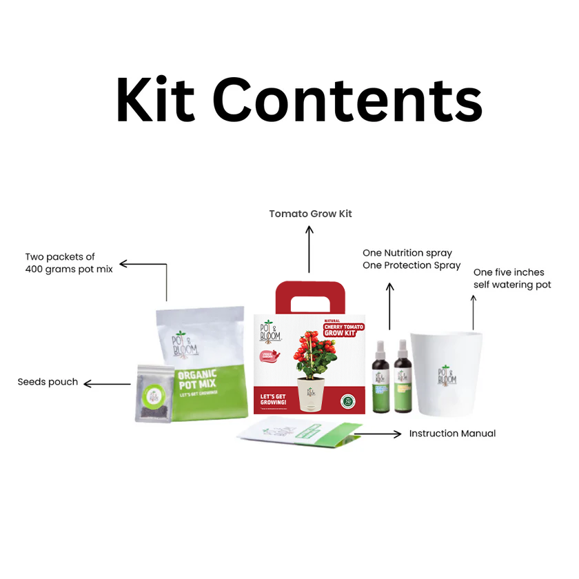 Buy Cherry Tomato Grow Kit Medium Online at Best Price | Pot and Bloom