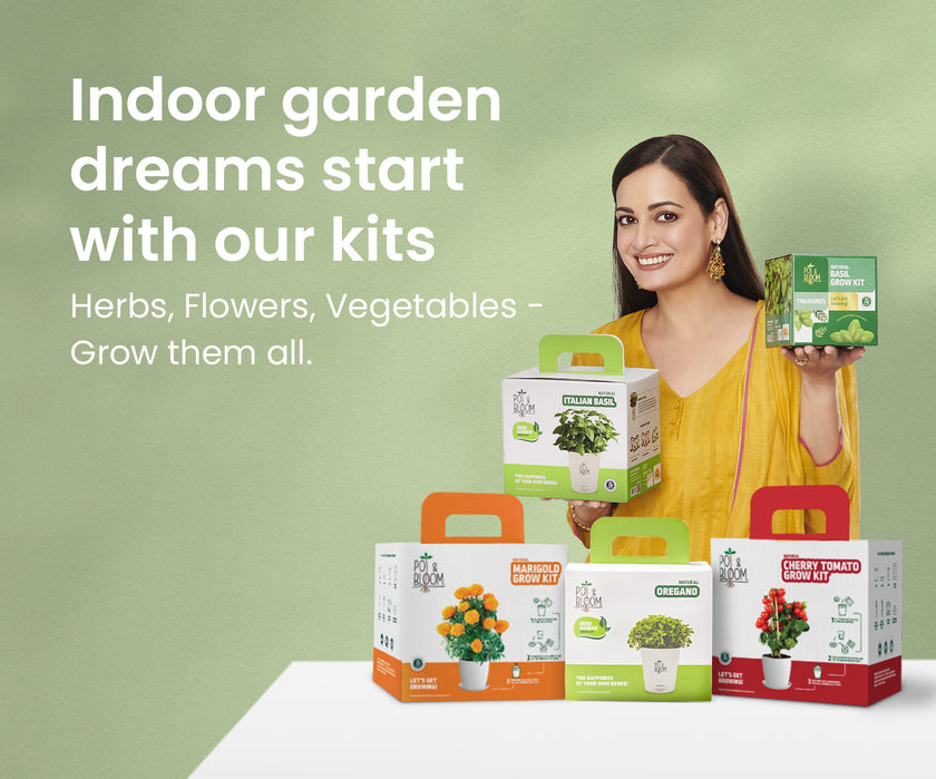 Buy DIY Gardening Kits Online at Best Price - Pot and Bloom