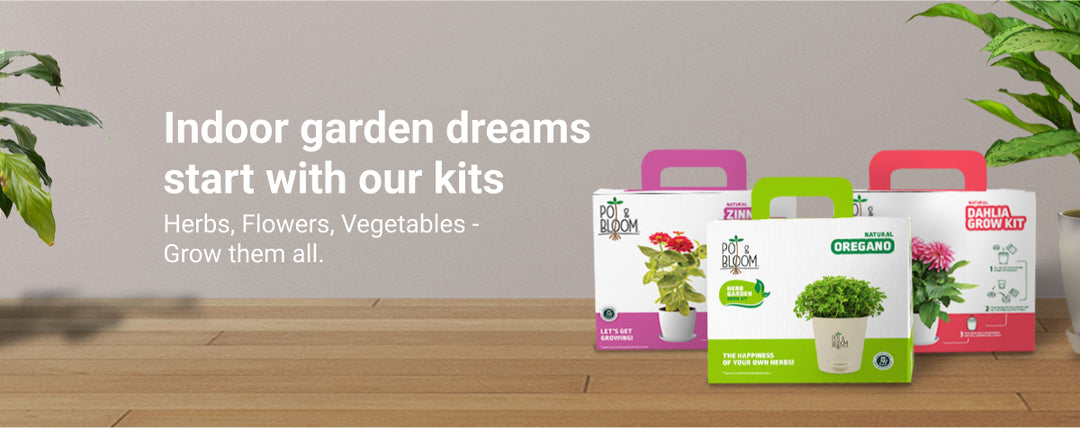 Flower Kits - Buy Flower Growing Kits Online at Pot and Bloom