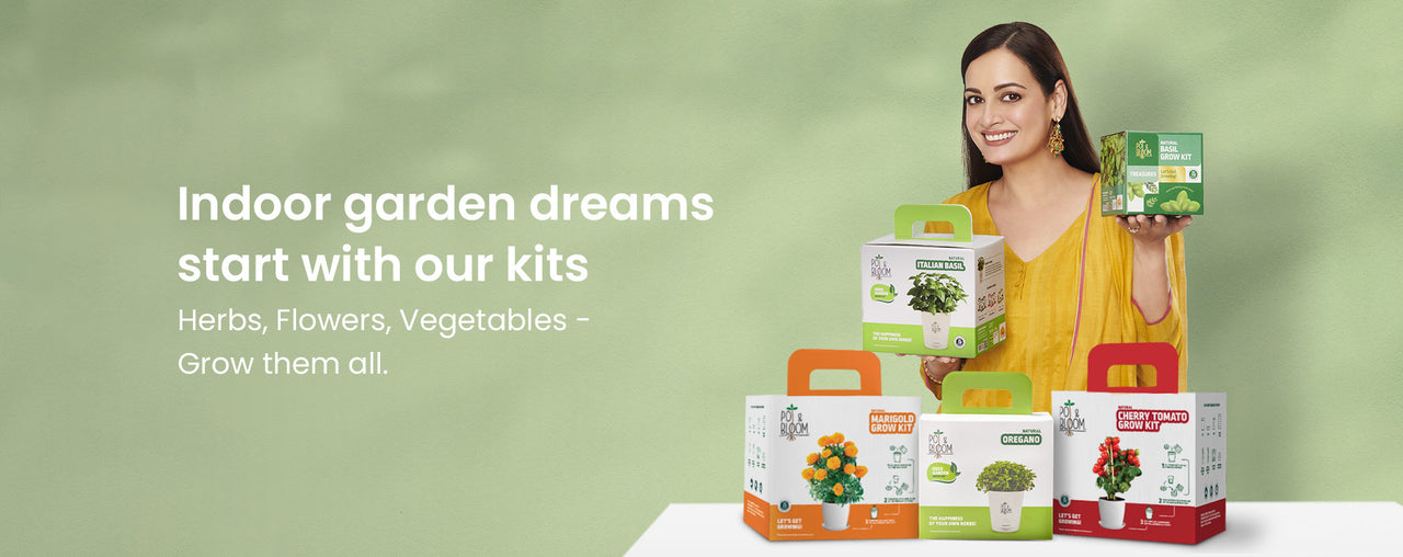 Buy DIY Gardening Kits Online at Best Price - Pot and Bloom
