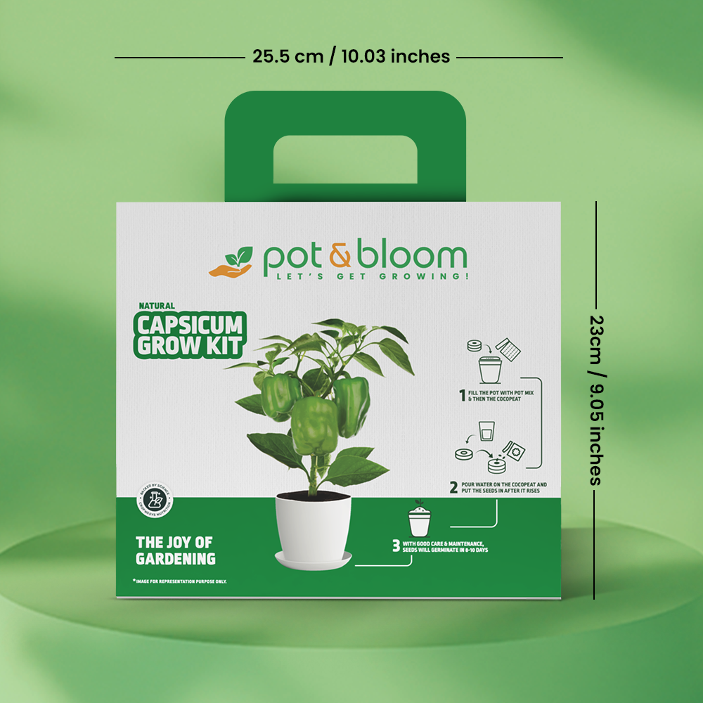 Buy Capsicum Grow Kit Online at Best Price | Pot and Bloom