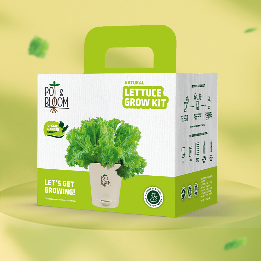 Buy Natural Lettuce Grow Kit Online at Best Price | Pot and Bloom