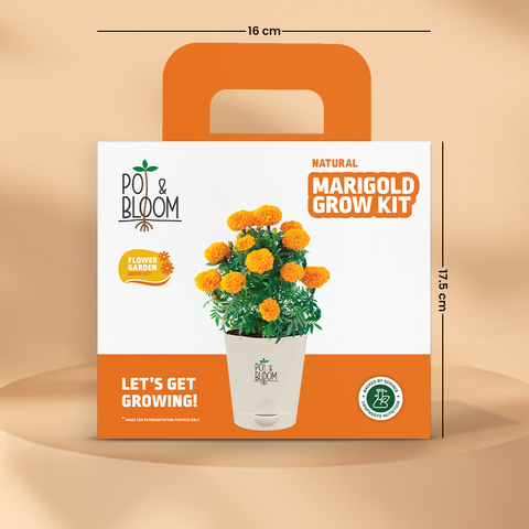Flower Kits - Buy Flower Growing Kits Online at Pot and Bloom