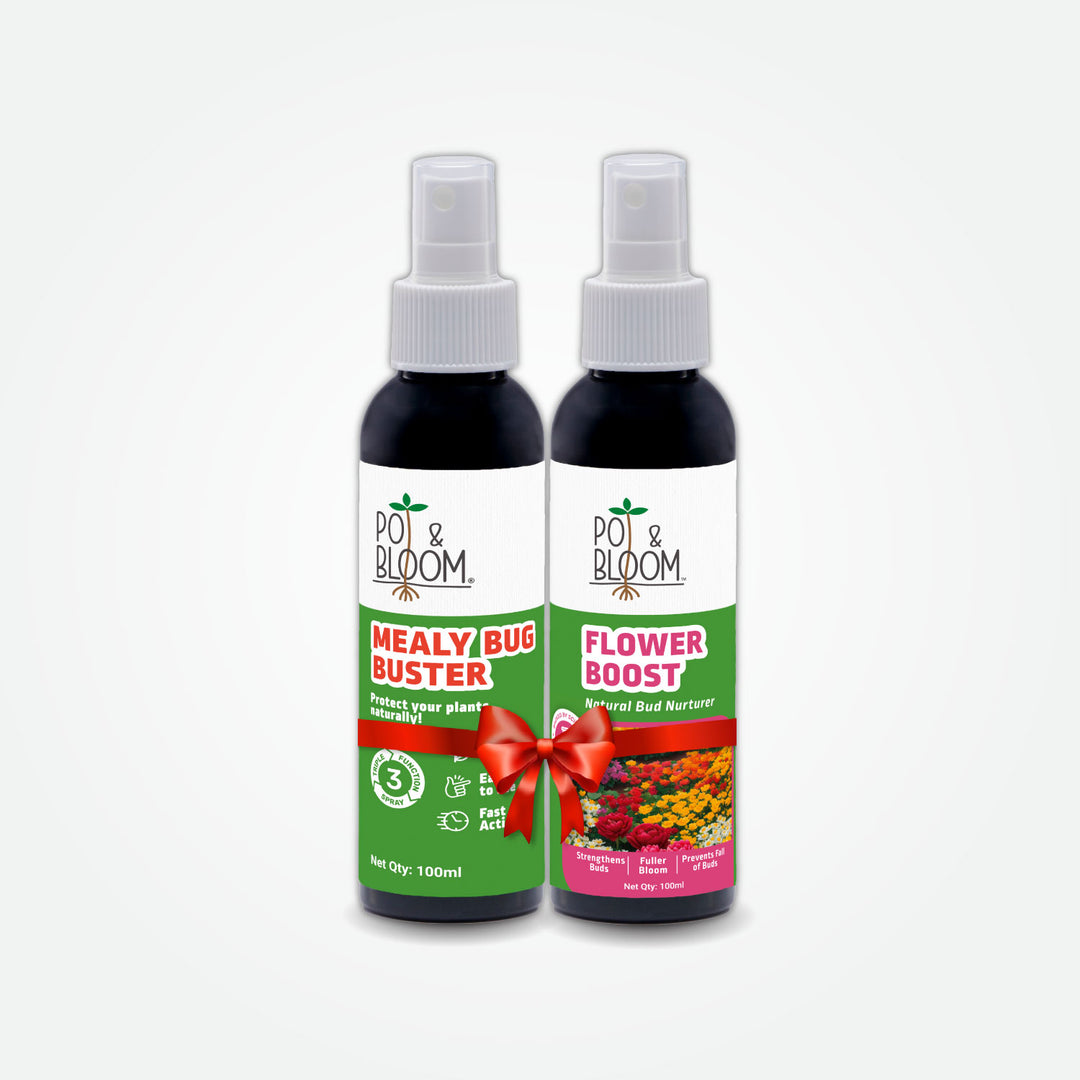 Buy Natural Plant Protection Spray @37% OFF at Pot and Bloom
