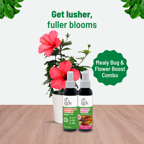 Buy Natural Plant Protection Spray @37% OFF at Pot and Bloom