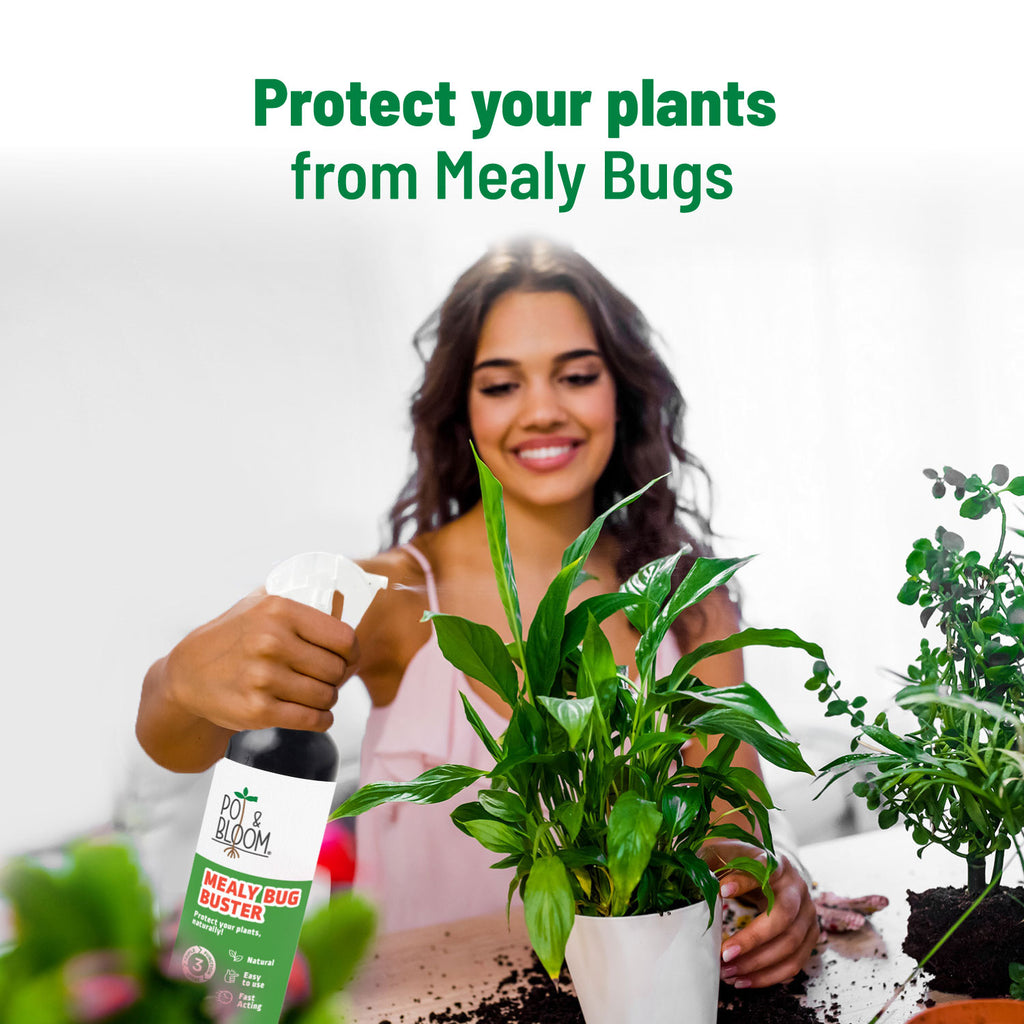 Mealy Bug Buster + Flower Boost 100 ml – Pot and Bloom