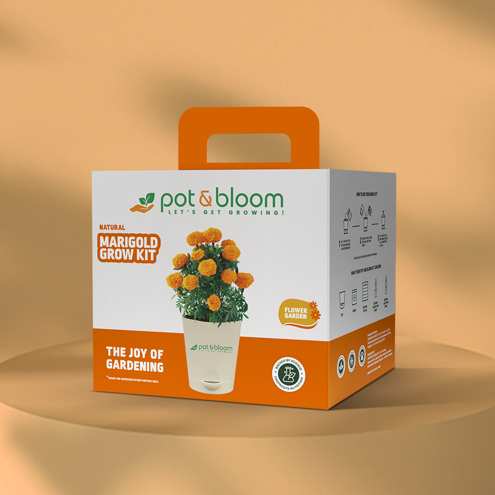 Flower Kits - Buy Flower Growing Kits Online at Pot and Bloom